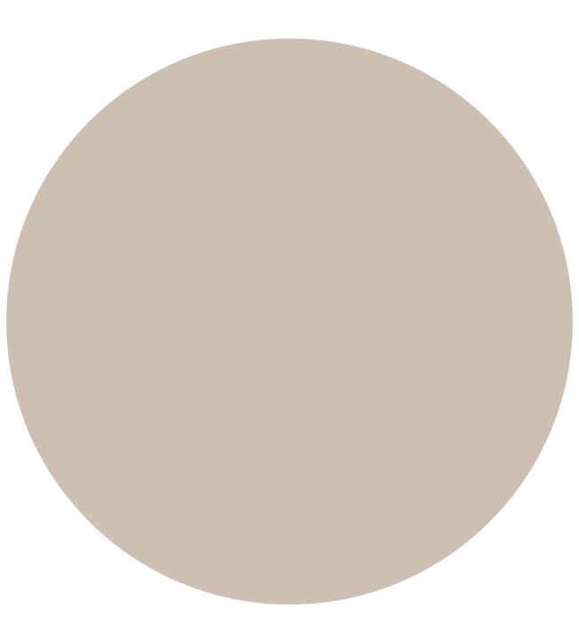 Pale Cashmere Paint in Pale Cashmere by Craig & Rose | Jane Clayton