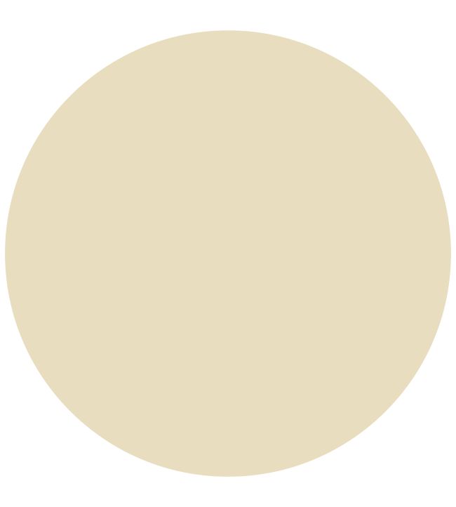 Sanderson Pale Parchment Active Emulsion Paint | Jane Clayton