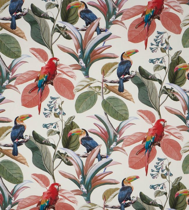 Parakeet Fabric in Papaya by Prestigious Textiles | Jane Clayton