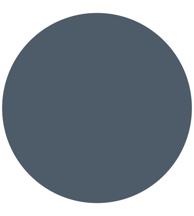 Payne's Grey Paint in Payne's Grey by Craig & Rose | Jane Clayton