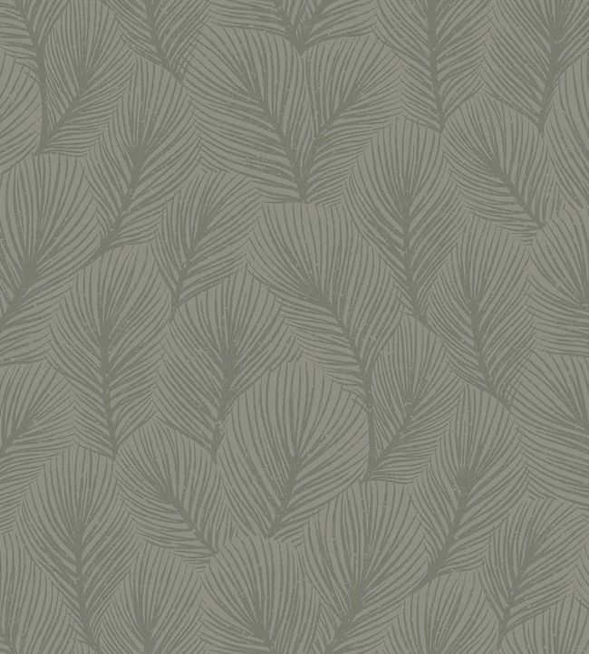 Pine Tree Wallpaper in Grey by Borastapeter | Jane Clayton