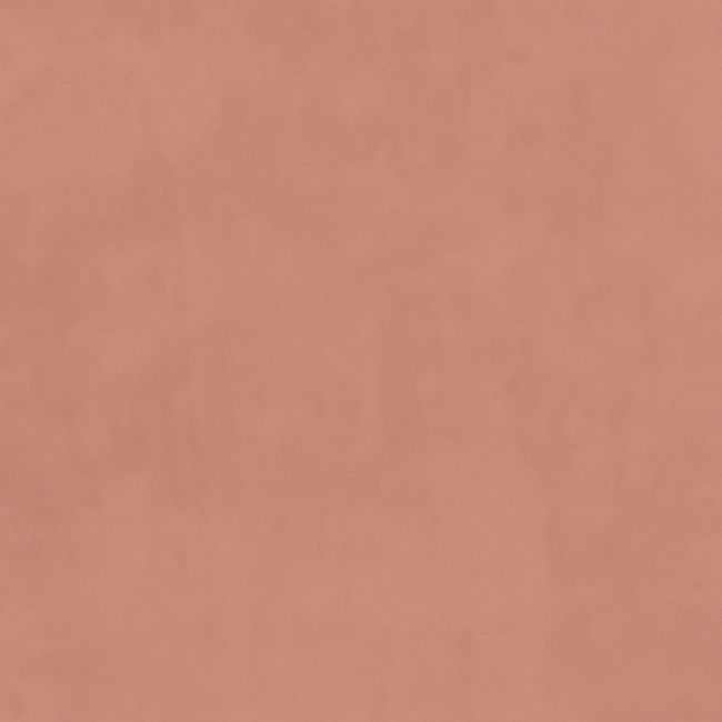 Plush Velvet Fabric in Blush by Warwick | Jane Clayton