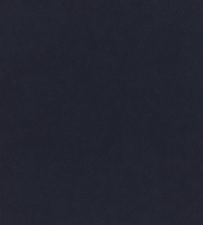 Plush Velvet Fabric in Ink by Warwick | Jane Clayton