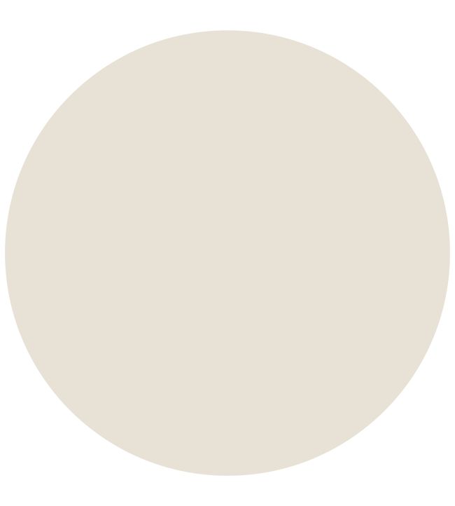 Morris & Co Powdered chalk Chalky Matt Paint | Jane Clayton