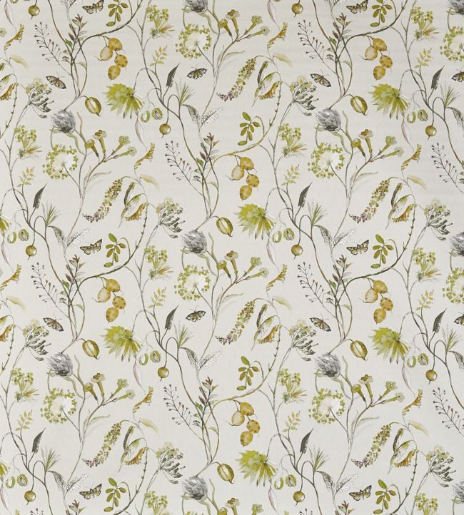 Grove Fabric by Prestigious Textiles in Fennel | Jane Clayton