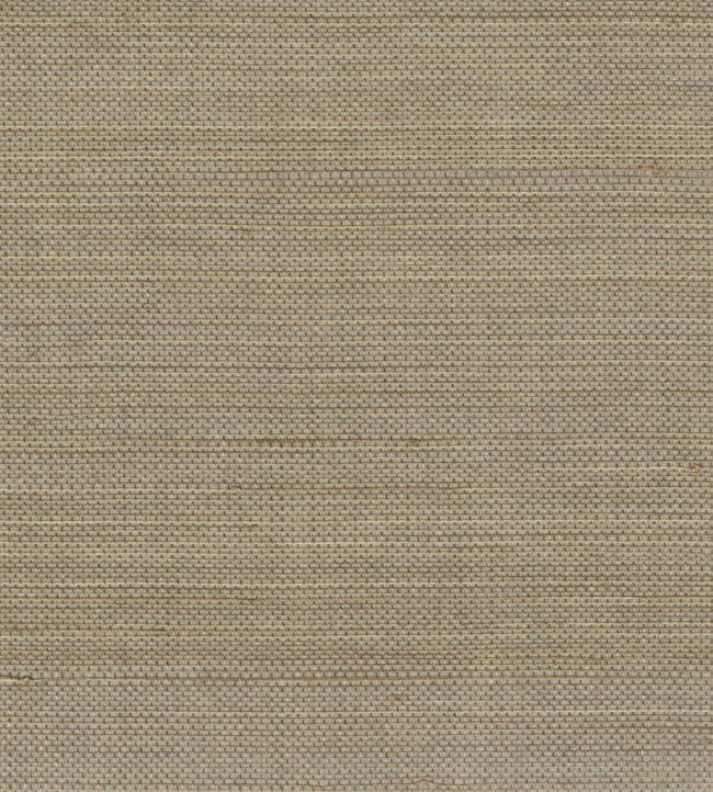 Pur abaca Wallpaper in Apporter la lumiere by Elitis | Jane Clayton