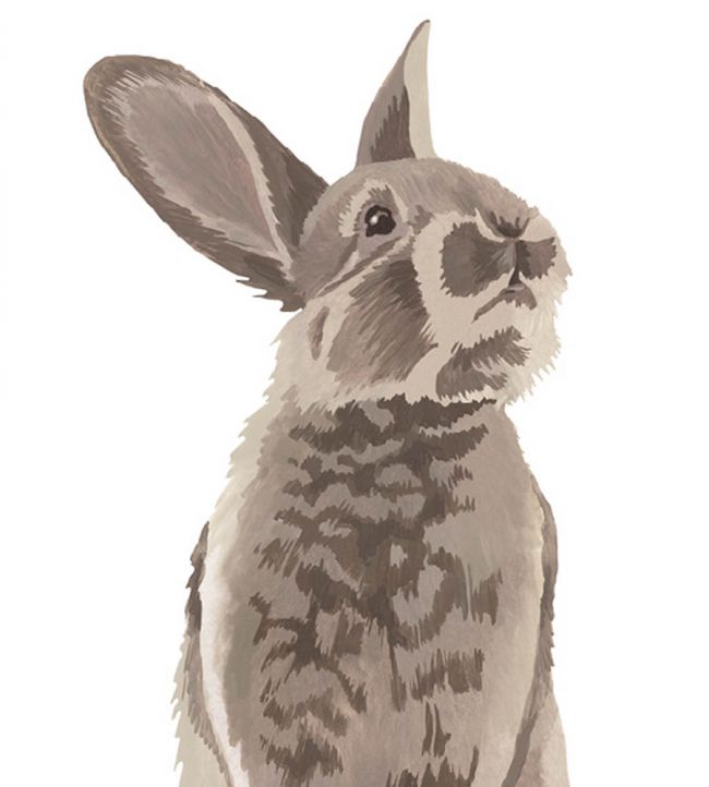 Rabbit Wallpaper Mural in 52 by Today Interiors | Jane Clayton