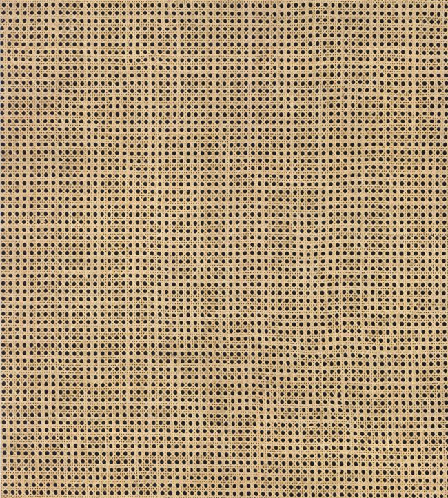 Rattan Wallpaper in Eclipse by Arte | Jane Clayton