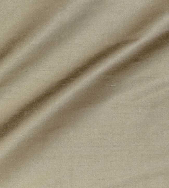 Regal Silk Fabric in Vine by James Hare | Jane Clayton