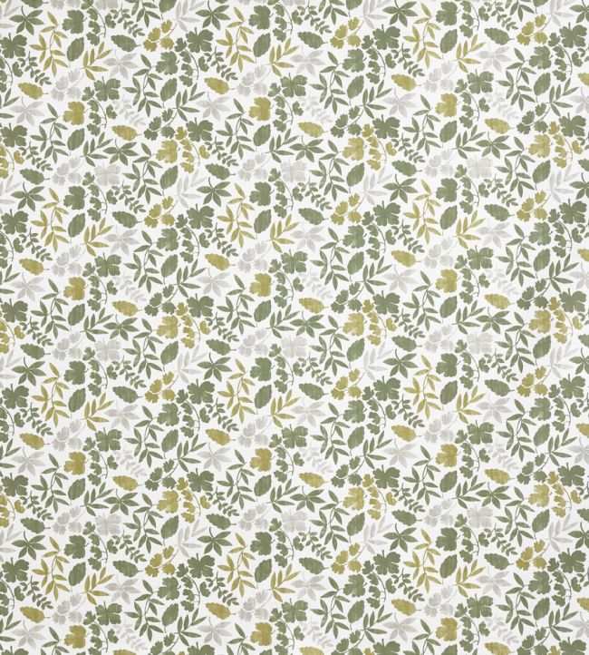 Riley Fabric in Olive by Prestigious Textiles | Jane Clayton