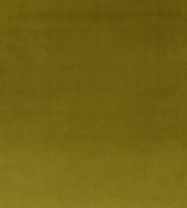 Rio Fabric in Leaf by Villa Nova | Jane Clayton