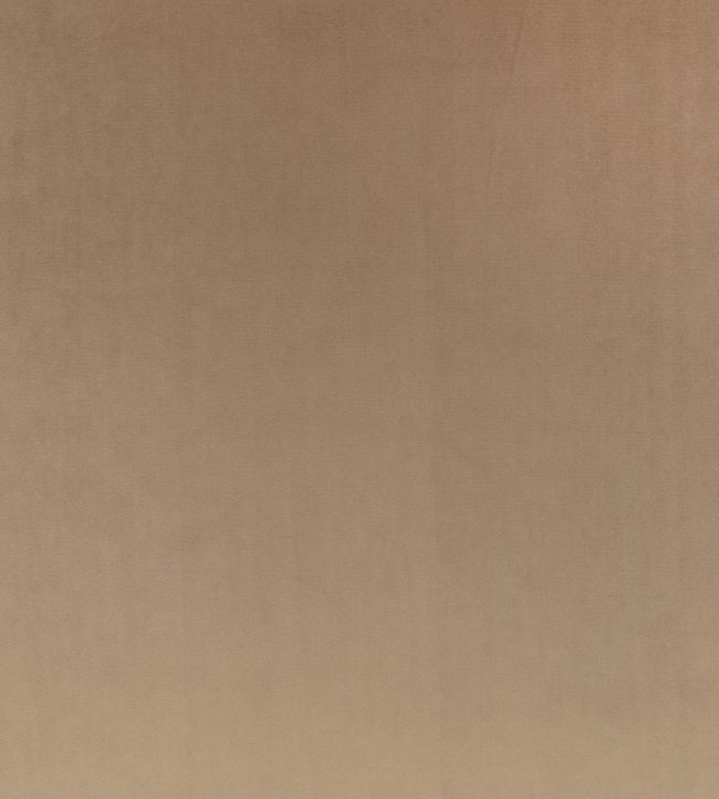 Rio Fabric in Nutshell by Villa Nova | Jane Clayton