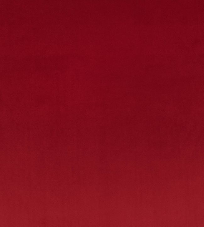 Rio Fabric in Ruby by Villa Nova | Jane Clayton