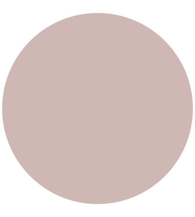 Sanderson Rose Ash Light Active Emulsion Paint | Jane Clayton