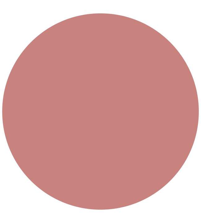 Morris & Co Rose Cockle Chalky Matt Paint | Jane Clayton