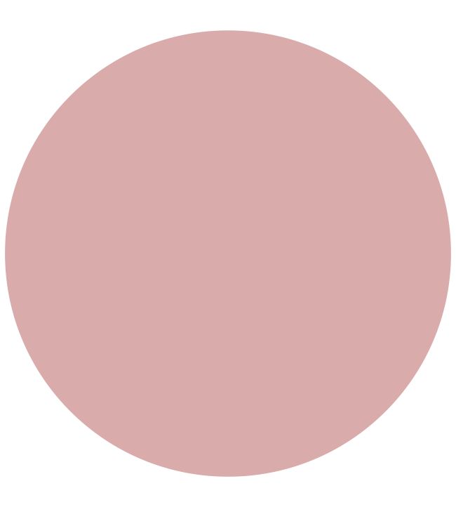 Craig & Rose Rose Pink Paint | Jane Clayton