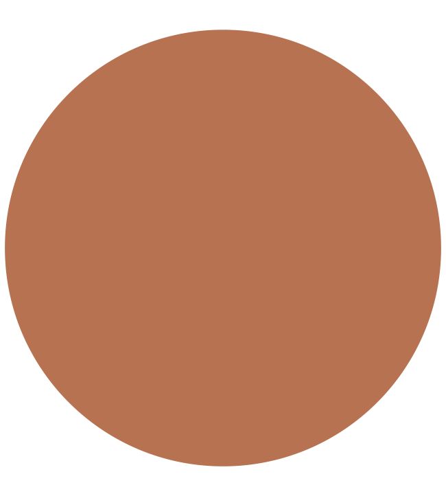 Sanderson Rowan Berry Active Emulsion Paint | Jane Clayton