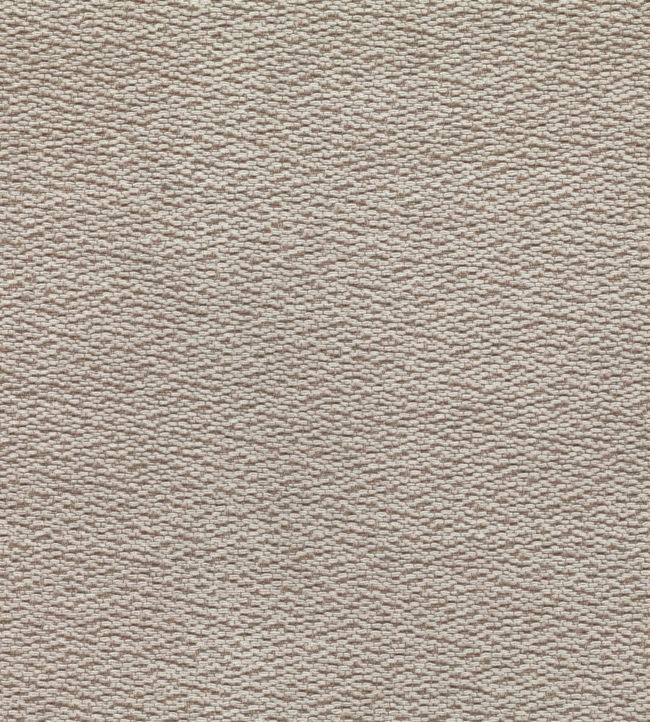 Ruba Fabric in Kudu by Black Edition | Jane Clayton