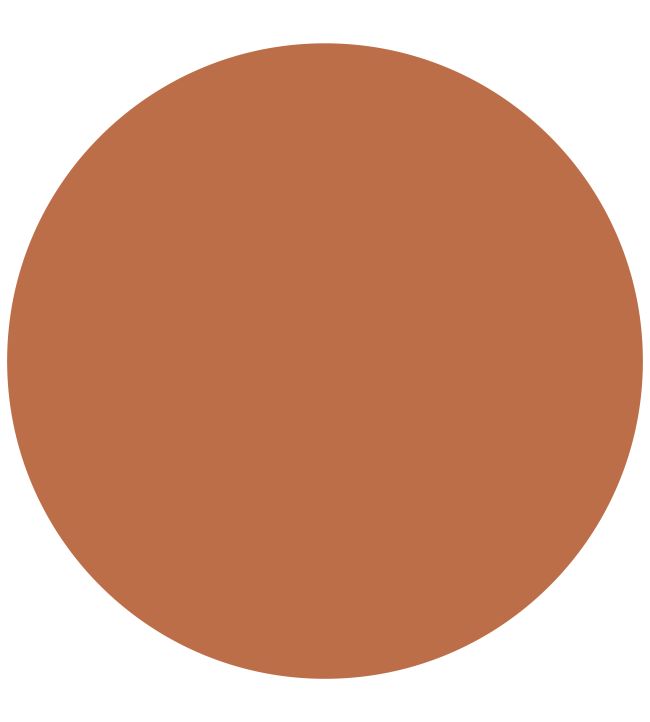 Russet Paint in Russet by Craig & Rose | Jane Clayton