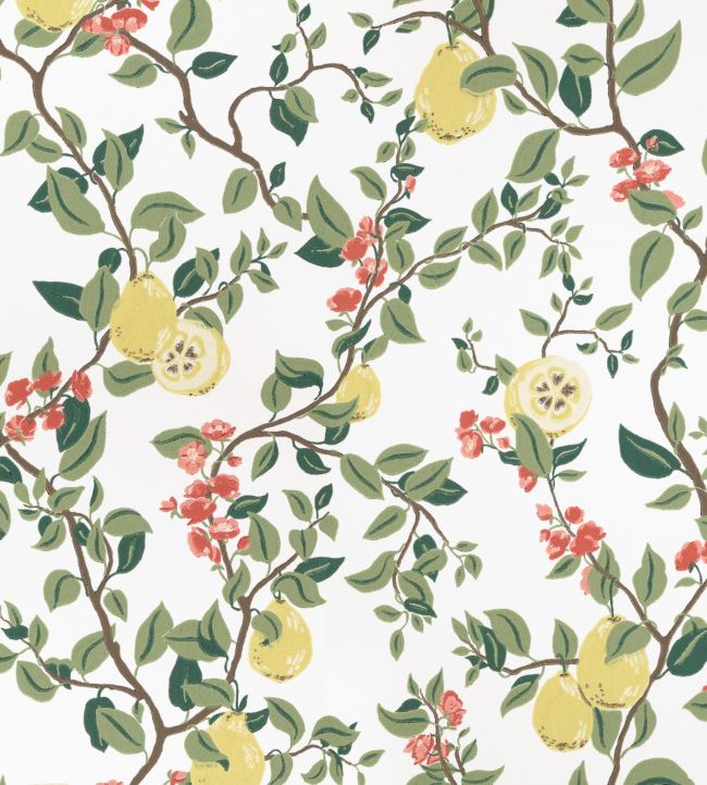 Kvitten Wallpaper by Sandberg in 1 | Jane Clayton