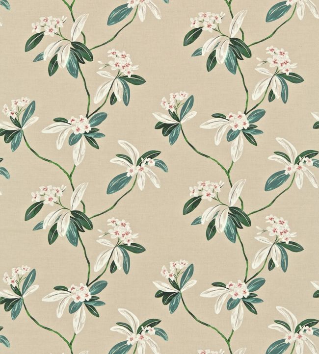 Oleander Fabric by Sanderson in Orange/Teal | Jane Clayton