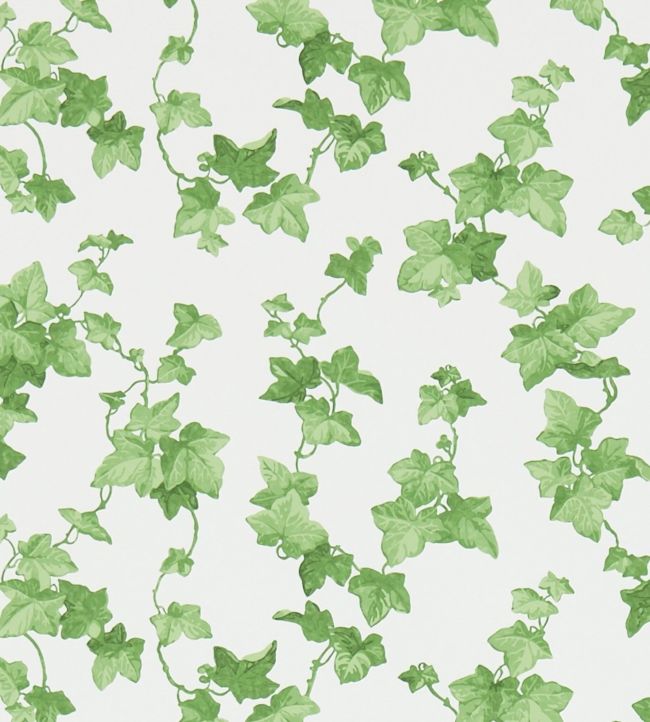 hedera wallpaper