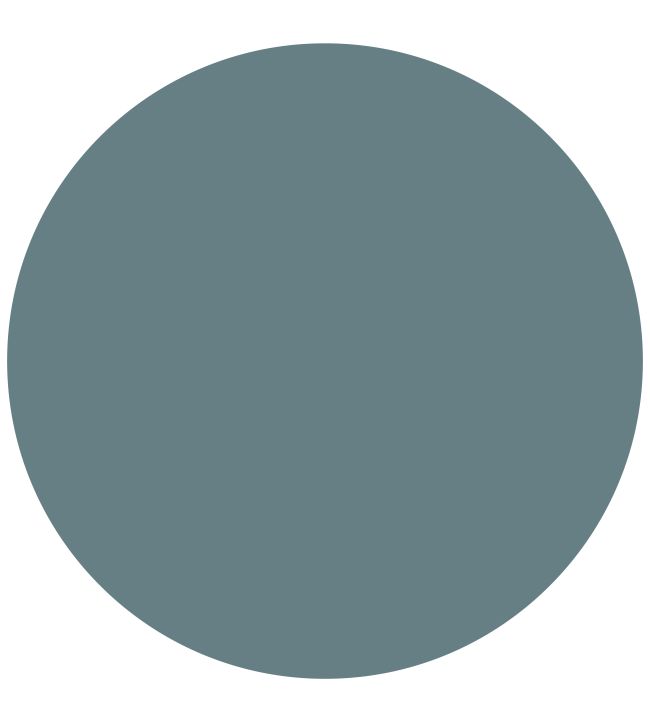 Saxe Blue Paint in Saxe Blue by Craig & Rose | Jane Clayton