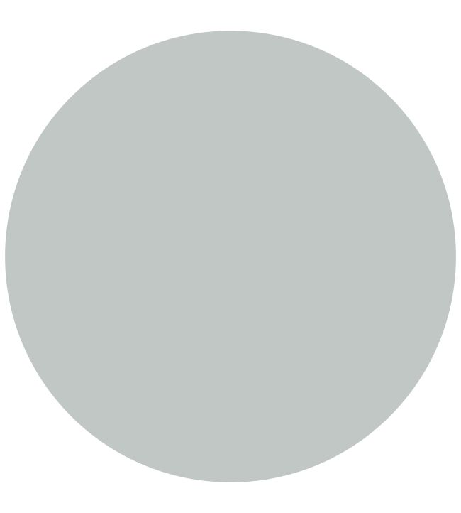 Sanderson Scotch Grey Active Emulsion Paint | Jane Clayton