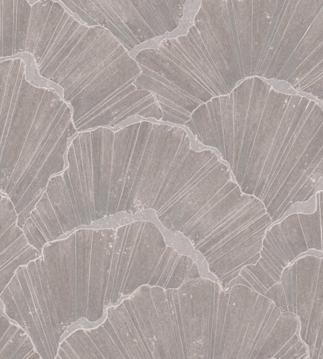 Shells Wallpaper in 27 by Today Interiors | Jane Clayton