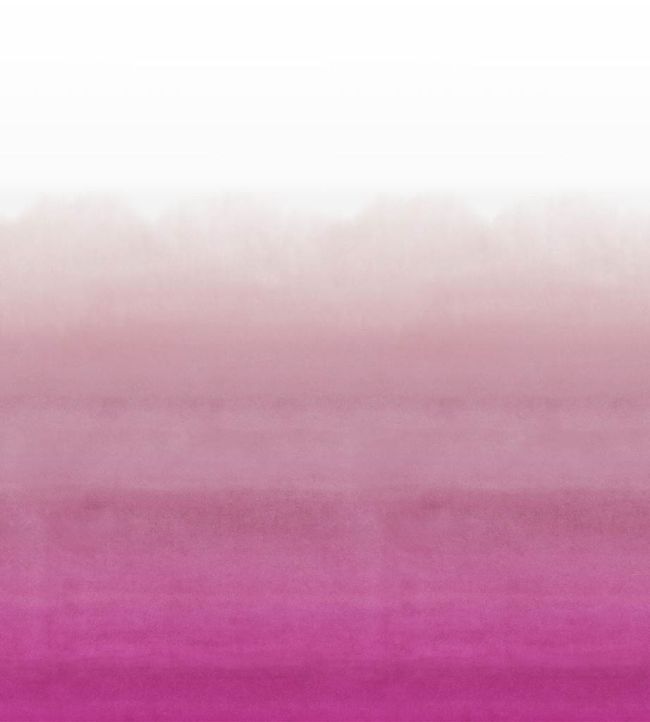 Shoshi Wallpaper mural in Fuchsia by Designers Guild | Jane Clayton