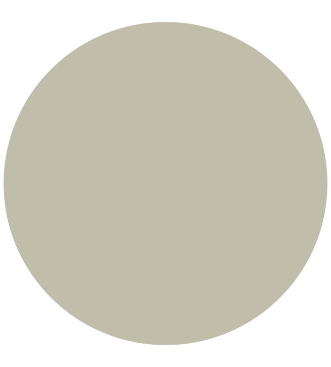 Sanderson Silver Fern Active Emulsion Paint | Jane Clayton