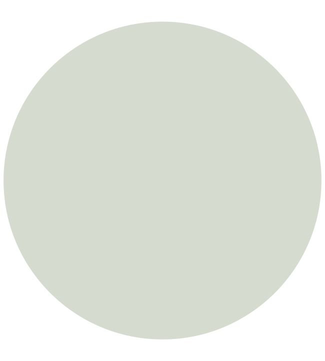 Sanderson Silver Mint Active Emulsion Paint | Jane Clayton