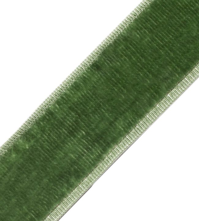 Sloane Velvet Border Trimmings in Basil by Samuel & Sons | Jane Clayton