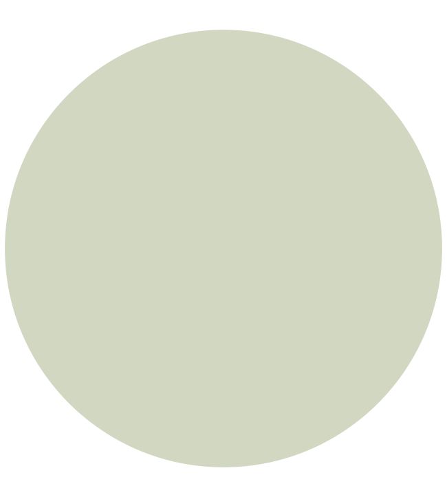 Craig & Rose Soft Green Paint | Jane Clayton