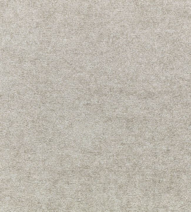 Solenzara Fabric in Smoke by Zinc | Jane Clayton