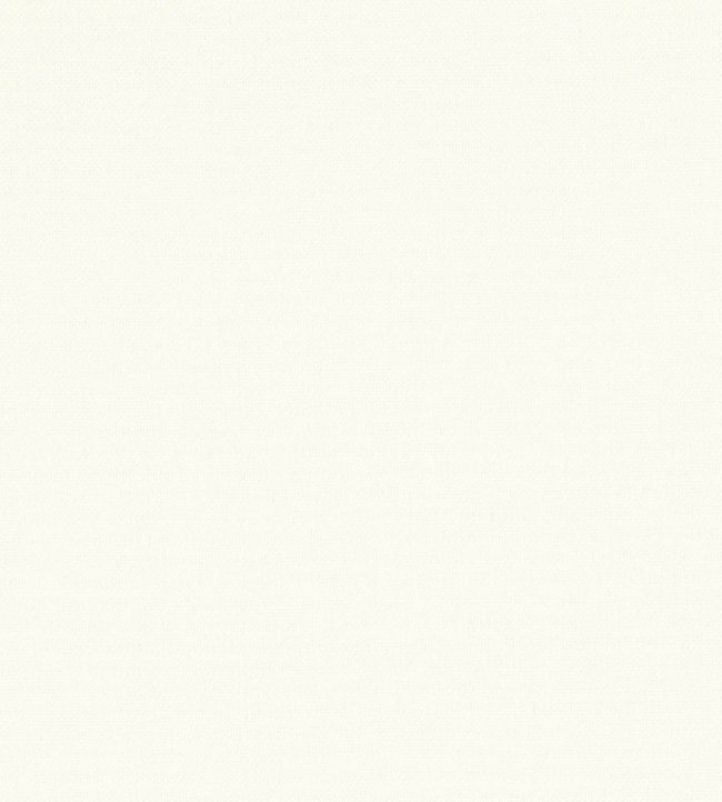 Solo Fabric in Jasper White by Mark Alexander | Jane Clayton