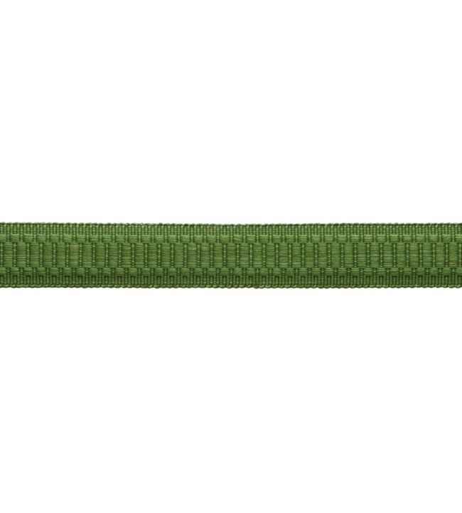 Sophie Border Trimmings in Basil by Samuel & Sons | Jane Clayton