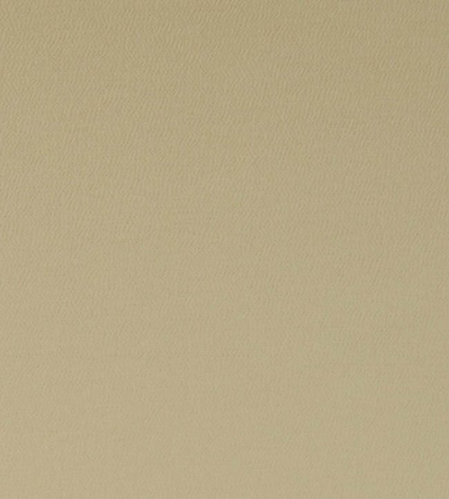 Spectrum Fabric in Sahara by Clarke & Clarke | Jane Clayton