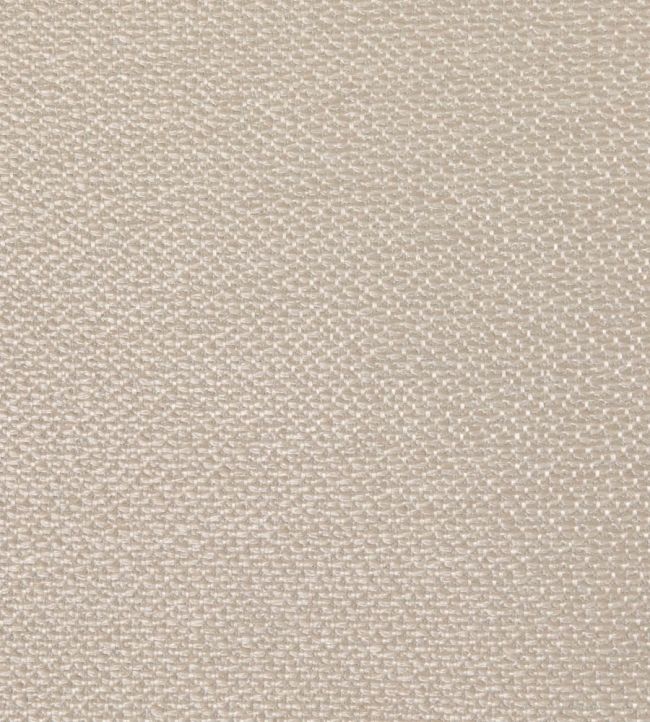 Splash Fabric in Nacre by Lelievre | Jane Clayton