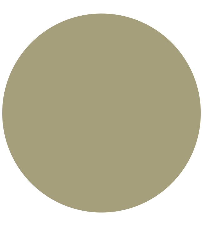 Mylands Stockwell Green No.203 Paint | Jane Clayton