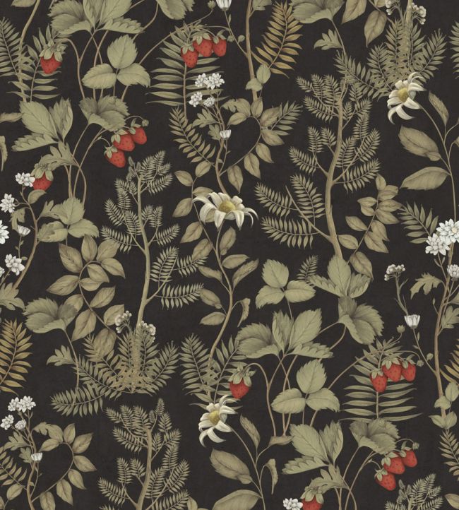 Strawberry Field Wallpaper in Noir Fusain by Casadeco | Jane Clayton
