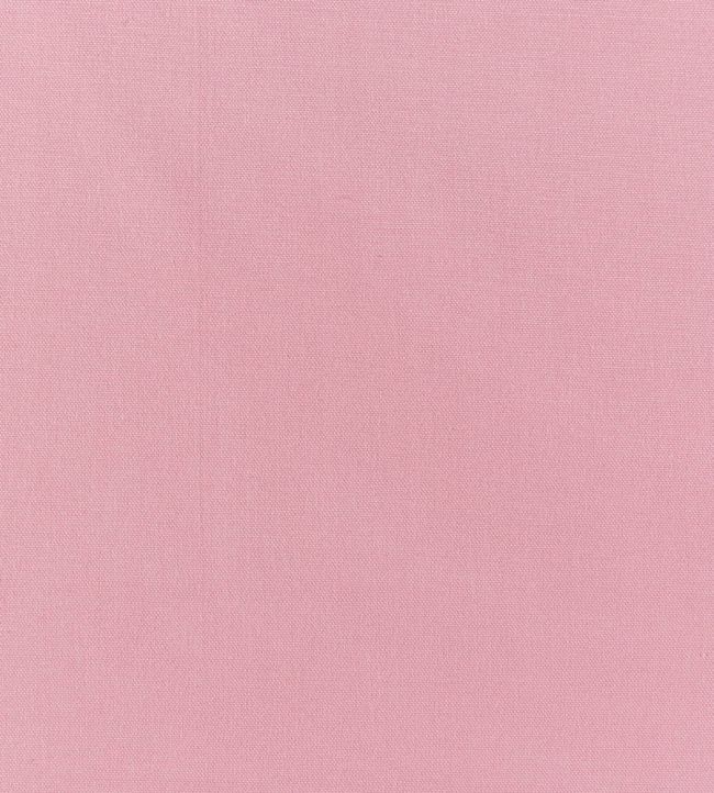 Style Fabric in Bon Bon by Prestigious Textiles | Jane Clayton