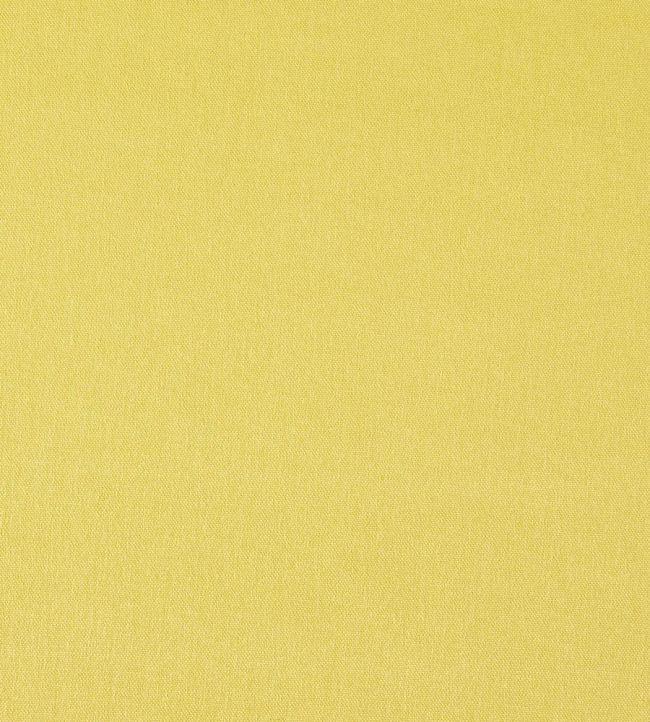 Style Fabric in Citrus by Prestigious Textiles | Jane Clayton