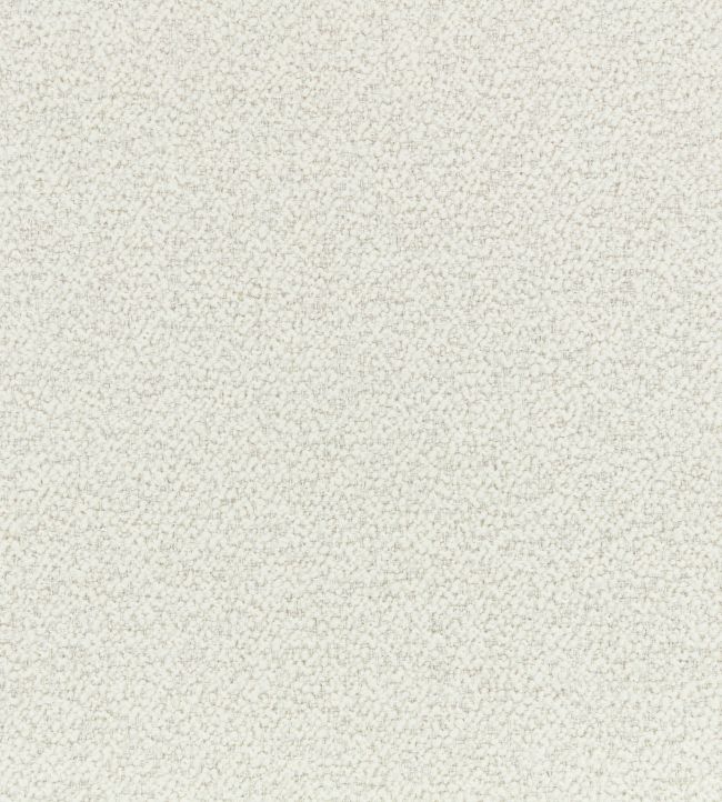 Surface FR Fabric in Parchment by Kirkby Design | Jane Clayton