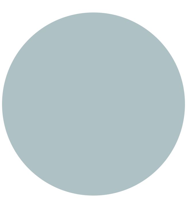 Swedish Blue Paint in Swedish Blue by Craig & Rose | Jane Clayton