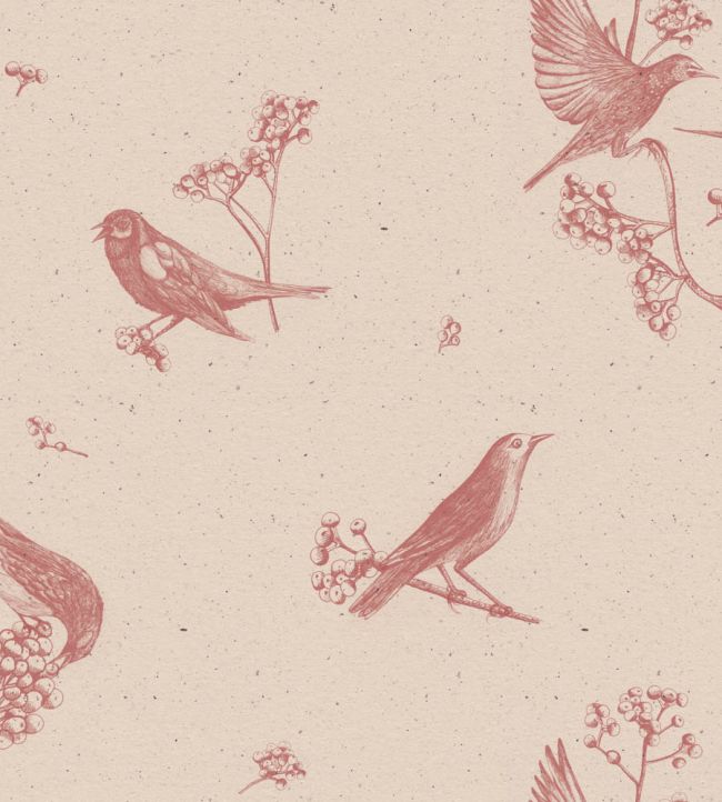 Sweet Birds Wallpaper in Rose by Coordonne | Jane Clayton