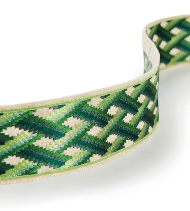 Taniska Braid Trimmings in Emerald by Osborne & Little | Jane Clayton