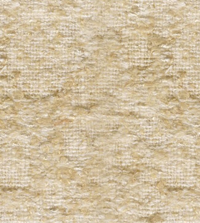 Thar Fabric in Beige by JORO | Jane Clayton
