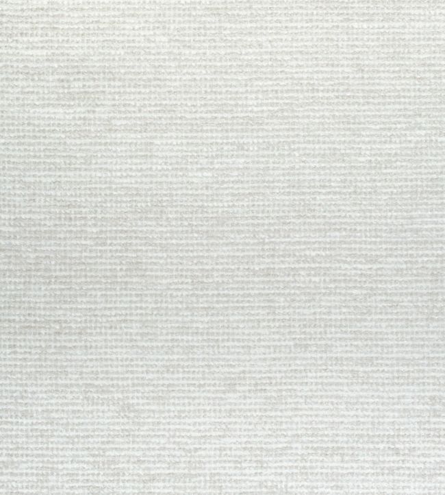 Milo Fabric by Thibaut in Salt | Jane Clayton