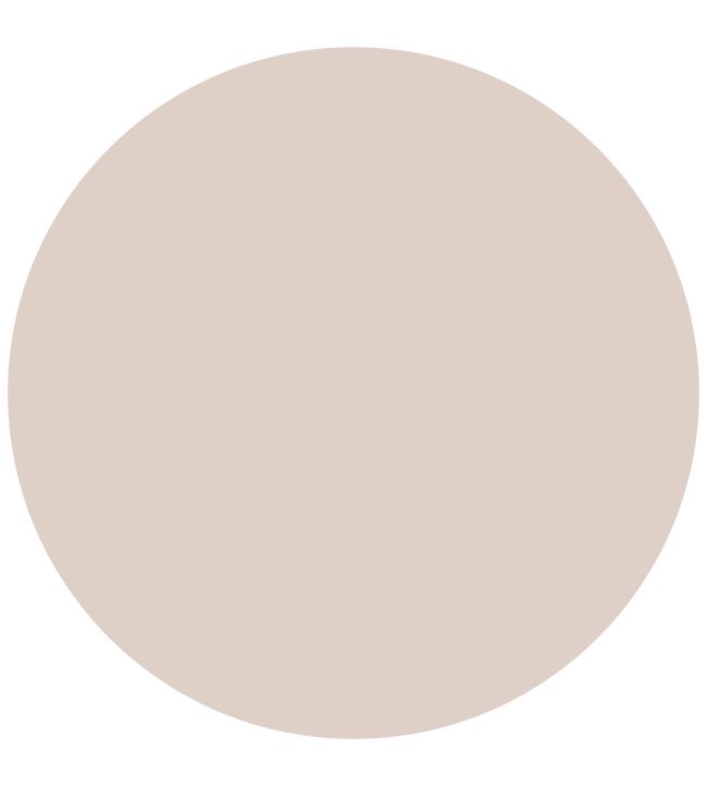 Mylands Threadneedle No.262 Paint | Jane Clayton